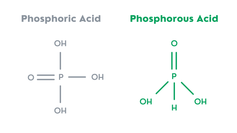 Phosphorous Acid - True North Foliar